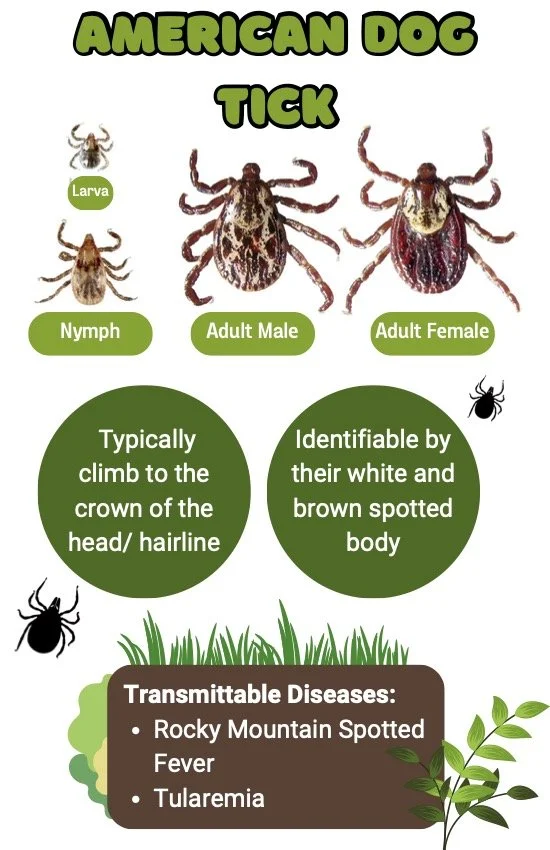 Tick Guide — Movement Education Outdoors