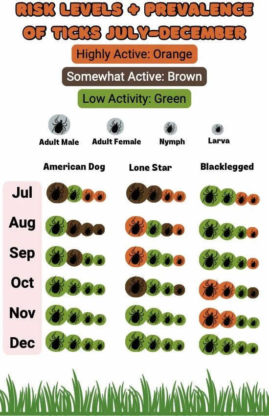Tick Guide — Movement Education Outdoors