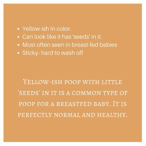 A Color-Coded Guide to Baby Poop — PNW Doulas