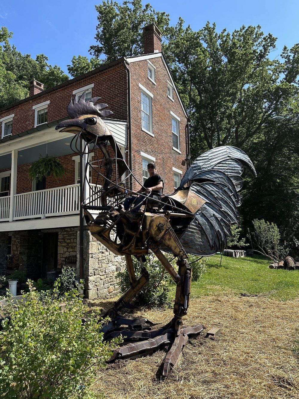 Key West Metal Chicken Sculpture at Manor Metal — Manor Mill