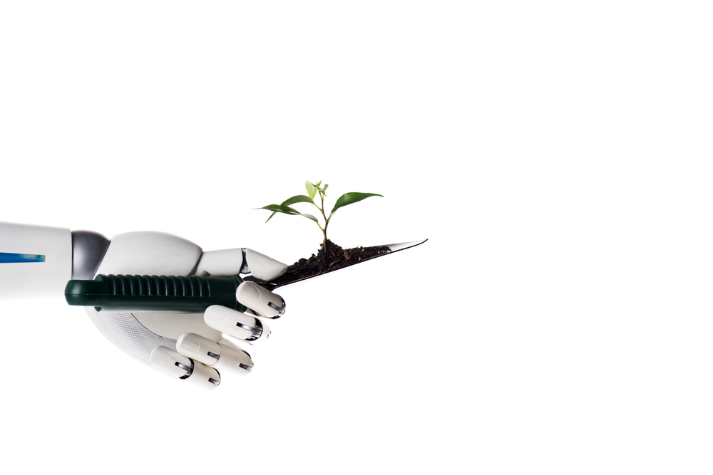 The AI Maturity Framework — COGNITIVE WORLD — COGNITIVE WORLD