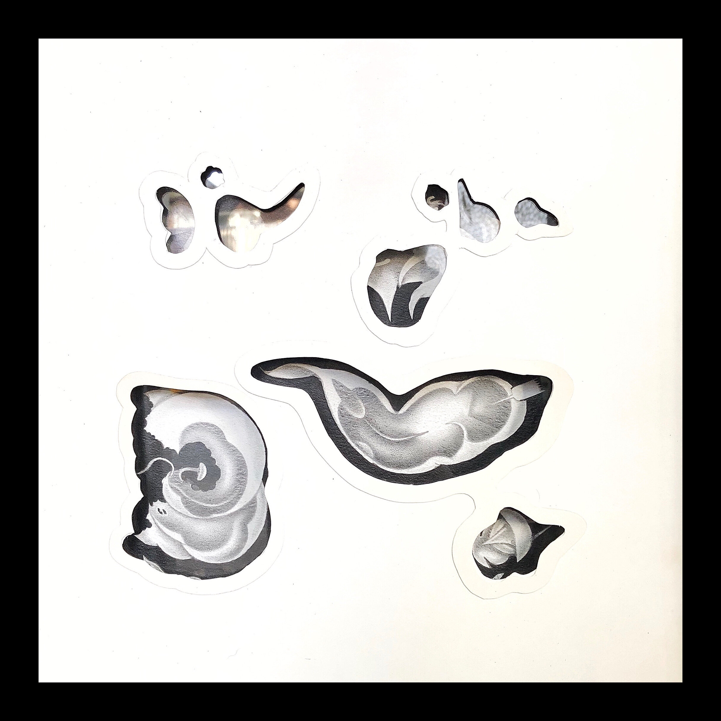 Window — Orcas Paley