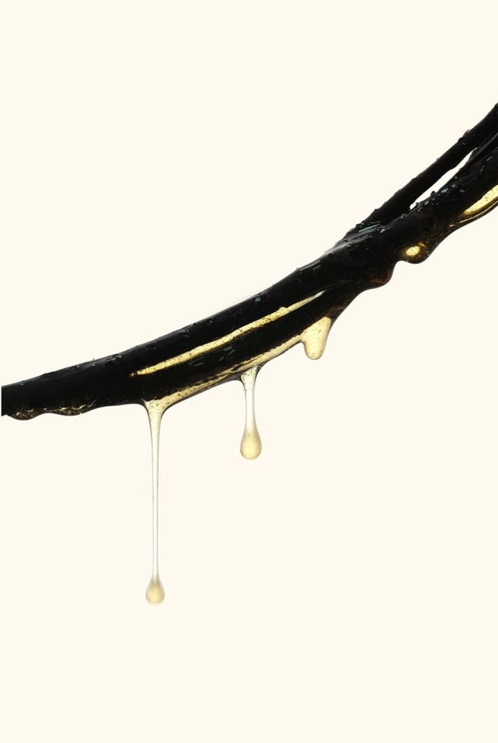 essentialFAITH-essential faith