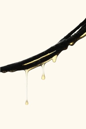 essentialFAITH-essential faith