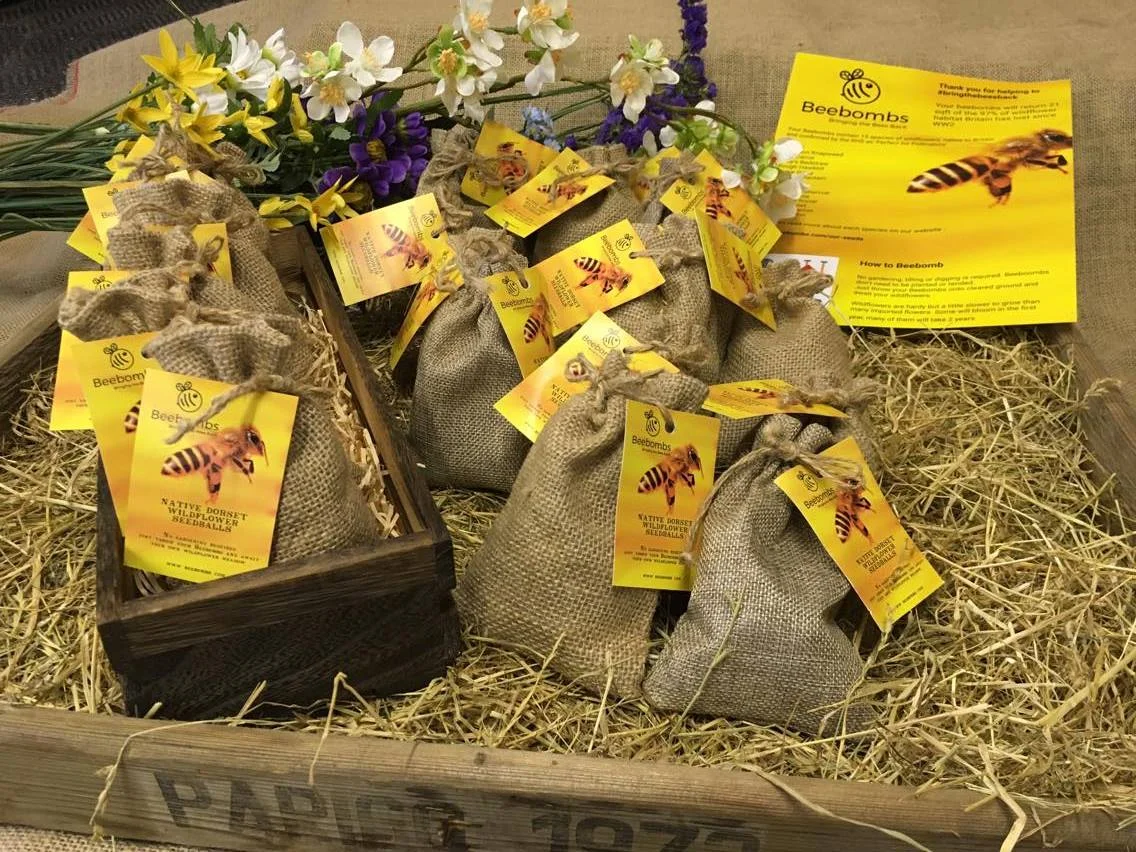 What are Beebombs? — Beebombs Ireland