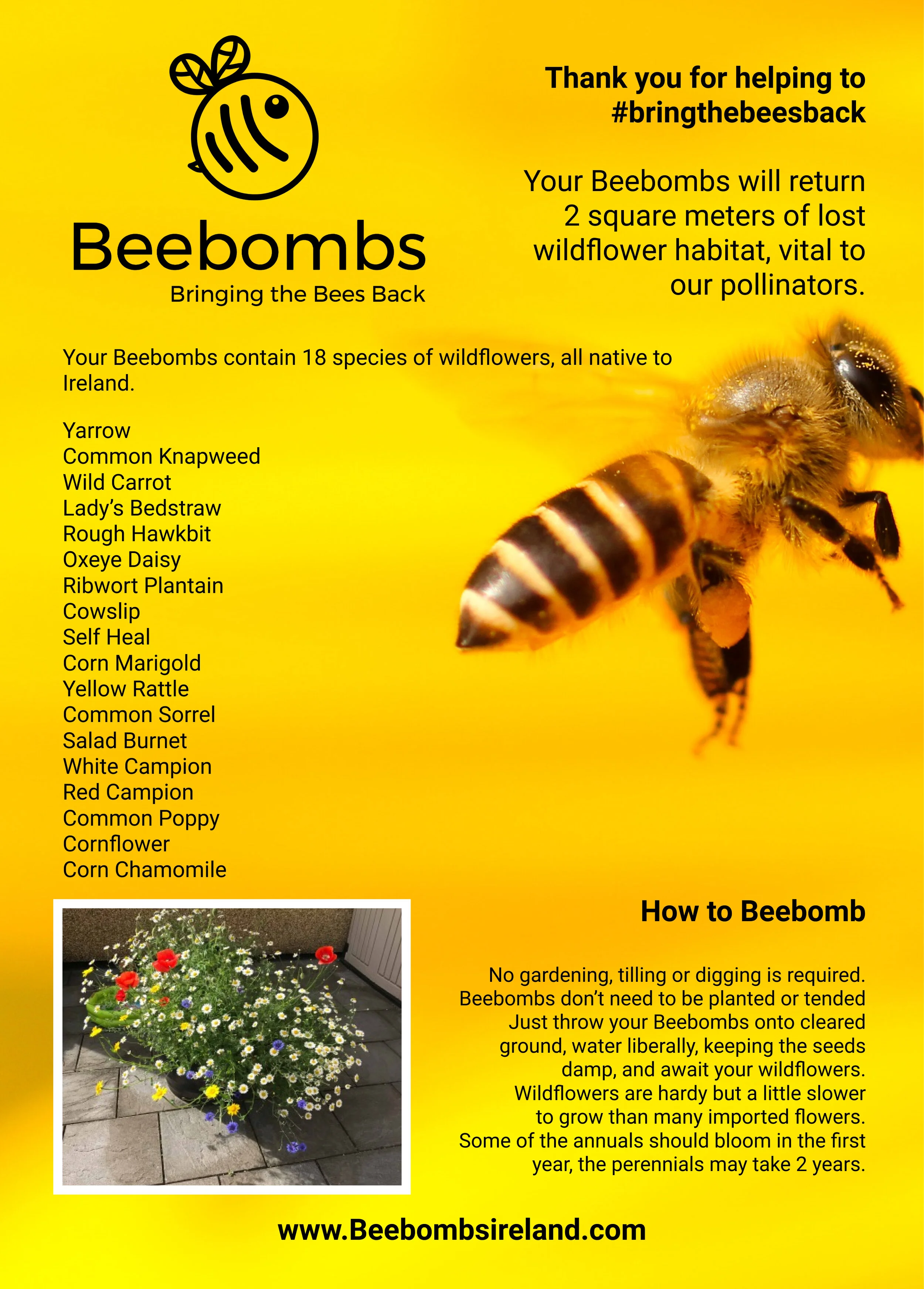 Our Seeds — Beebombs Ireland