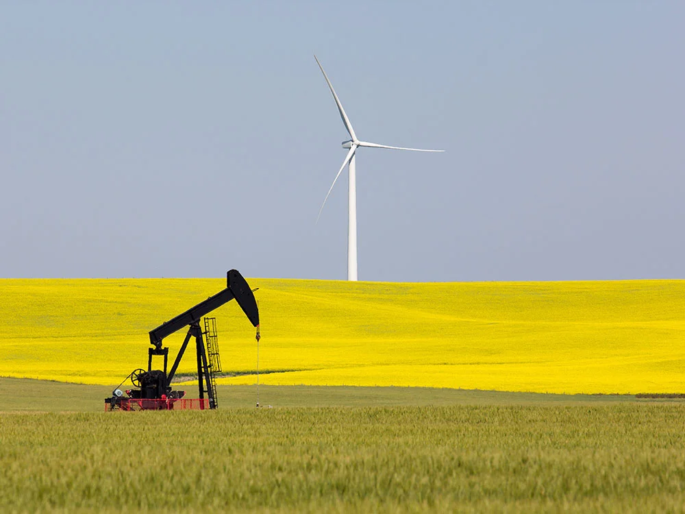 X-Terra Environmental Services Ltd.