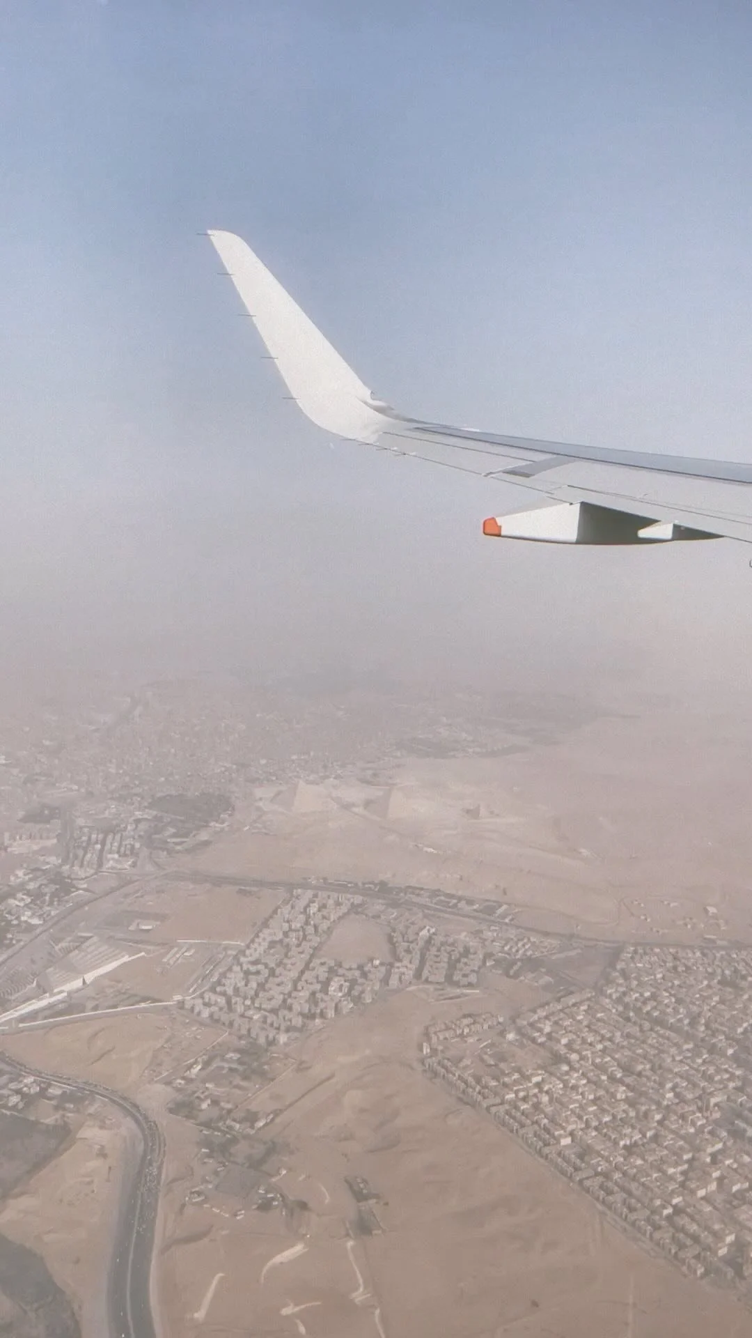 LOTUS CARDS — atempleofthemoon.