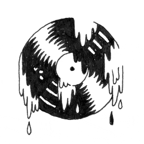 How to Clean a Record — Summerhouse