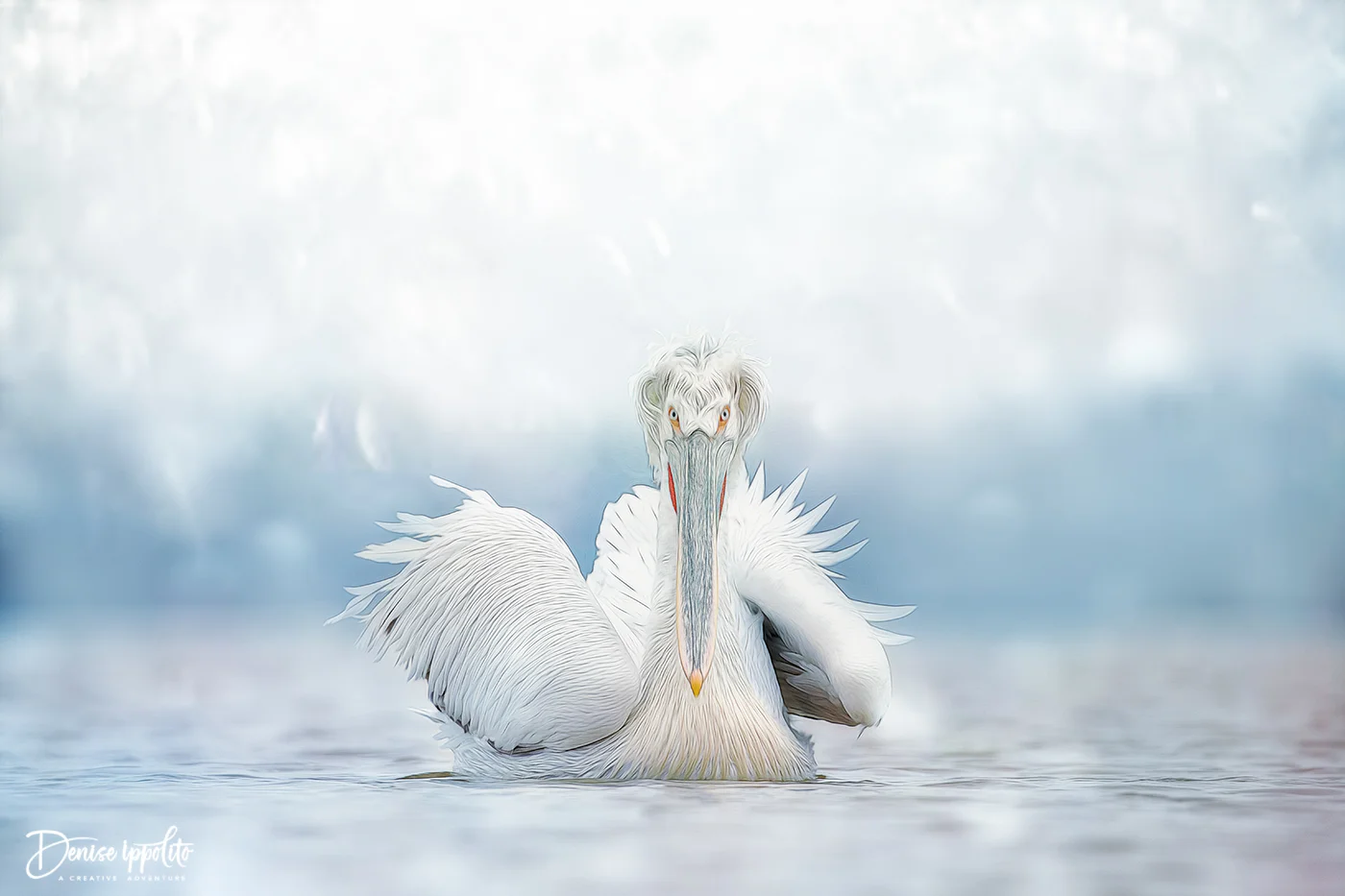 Artistic Rendition — A CREATIVE ADVENTURE photography by denise ippolito