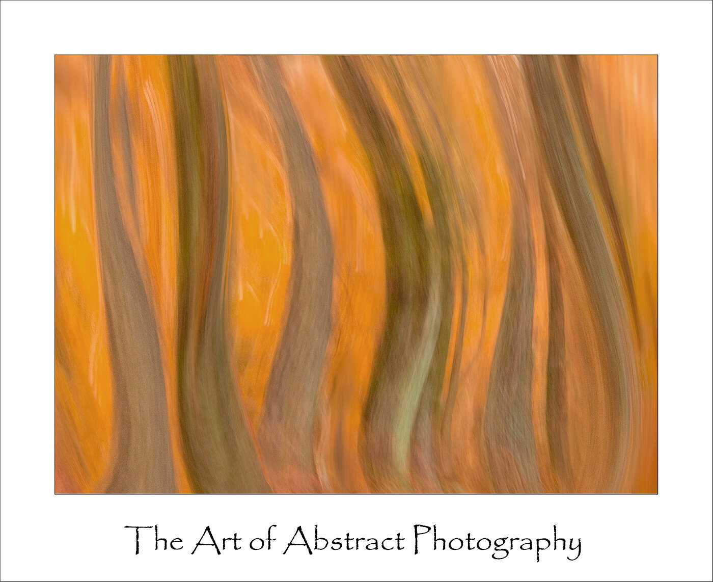 The Art of Abstract Photography — A CREATIVE ADVENTURE photography by ...