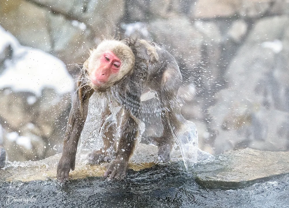 Blog — A CREATIVE ADVENTURE photography by denise ippolito