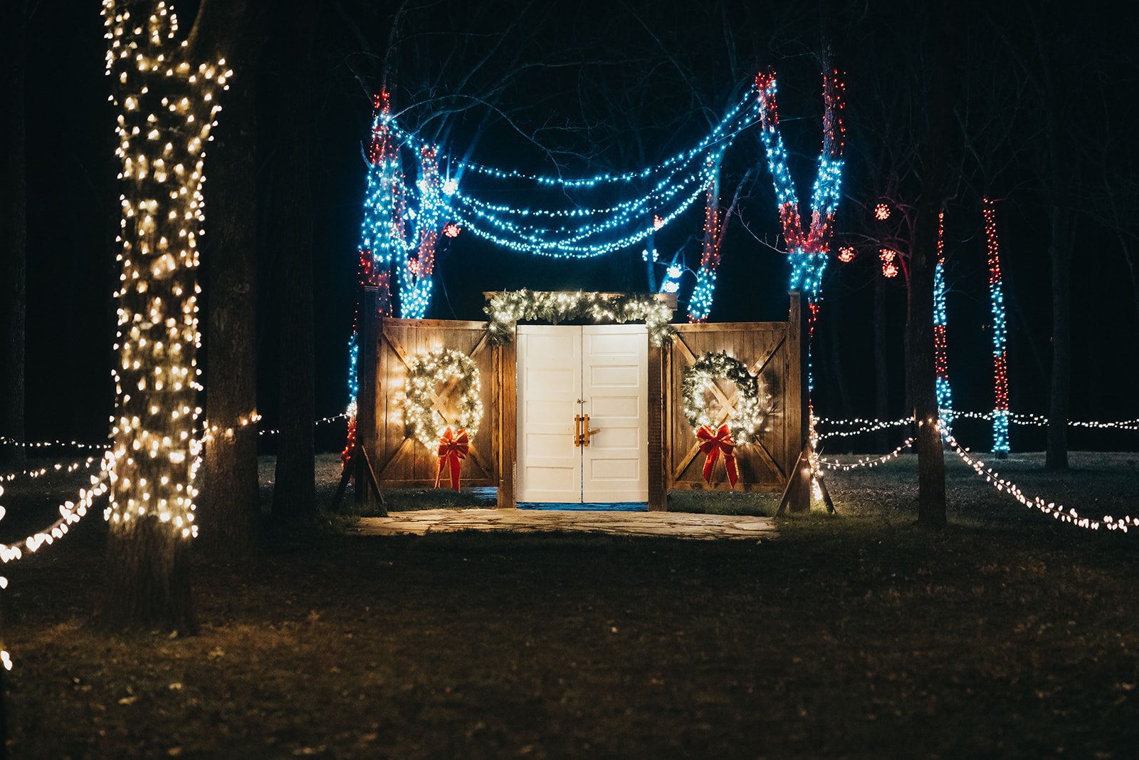 Grove of Lights — Lost Hill Lake