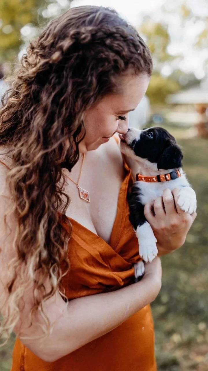 Lost Hill Lake Grove Of Lights at Crystal Twyman blog