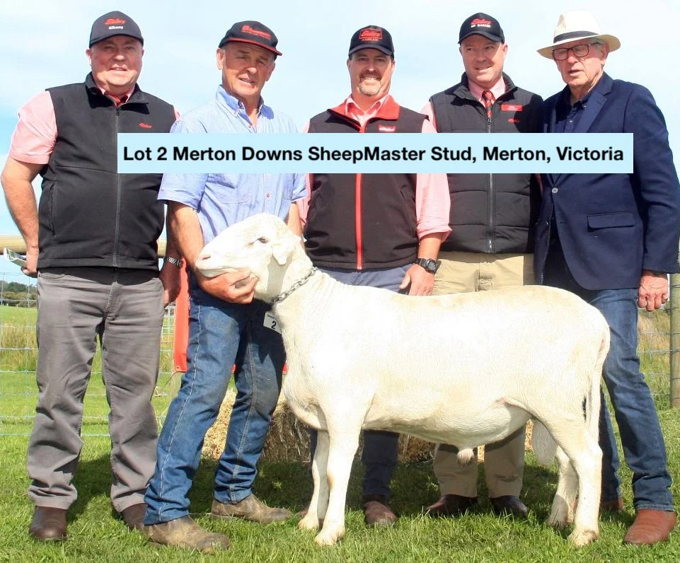 sheepmaster-parent-stud-homepage