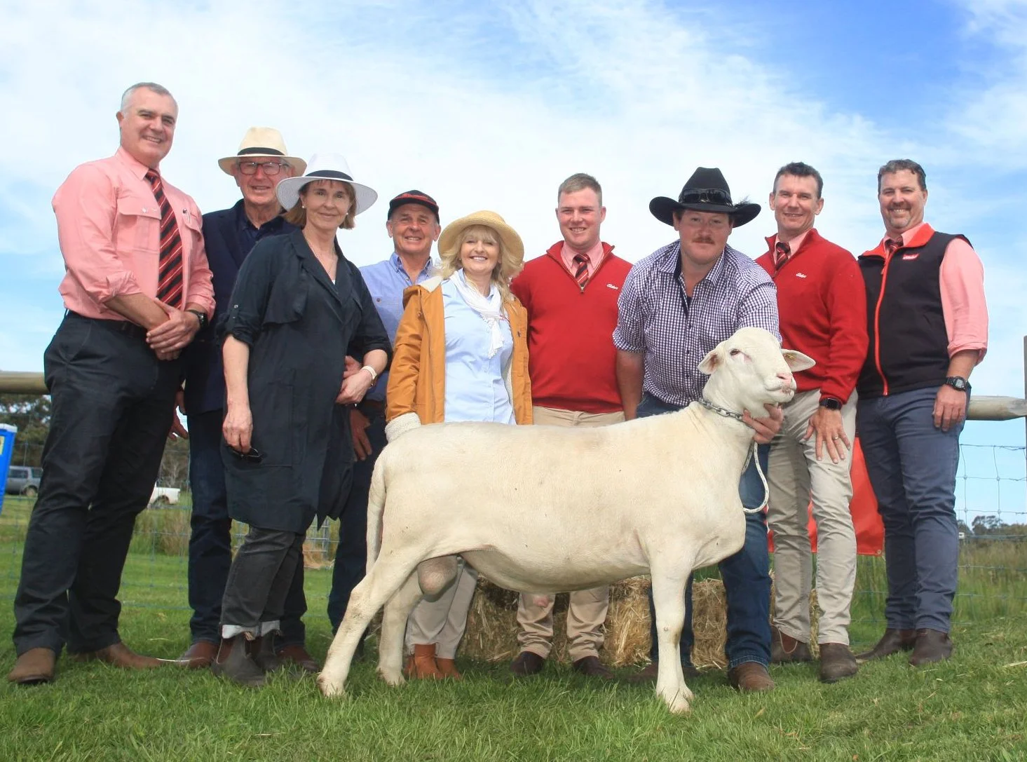 sheepmaster-parent-stud-homepage