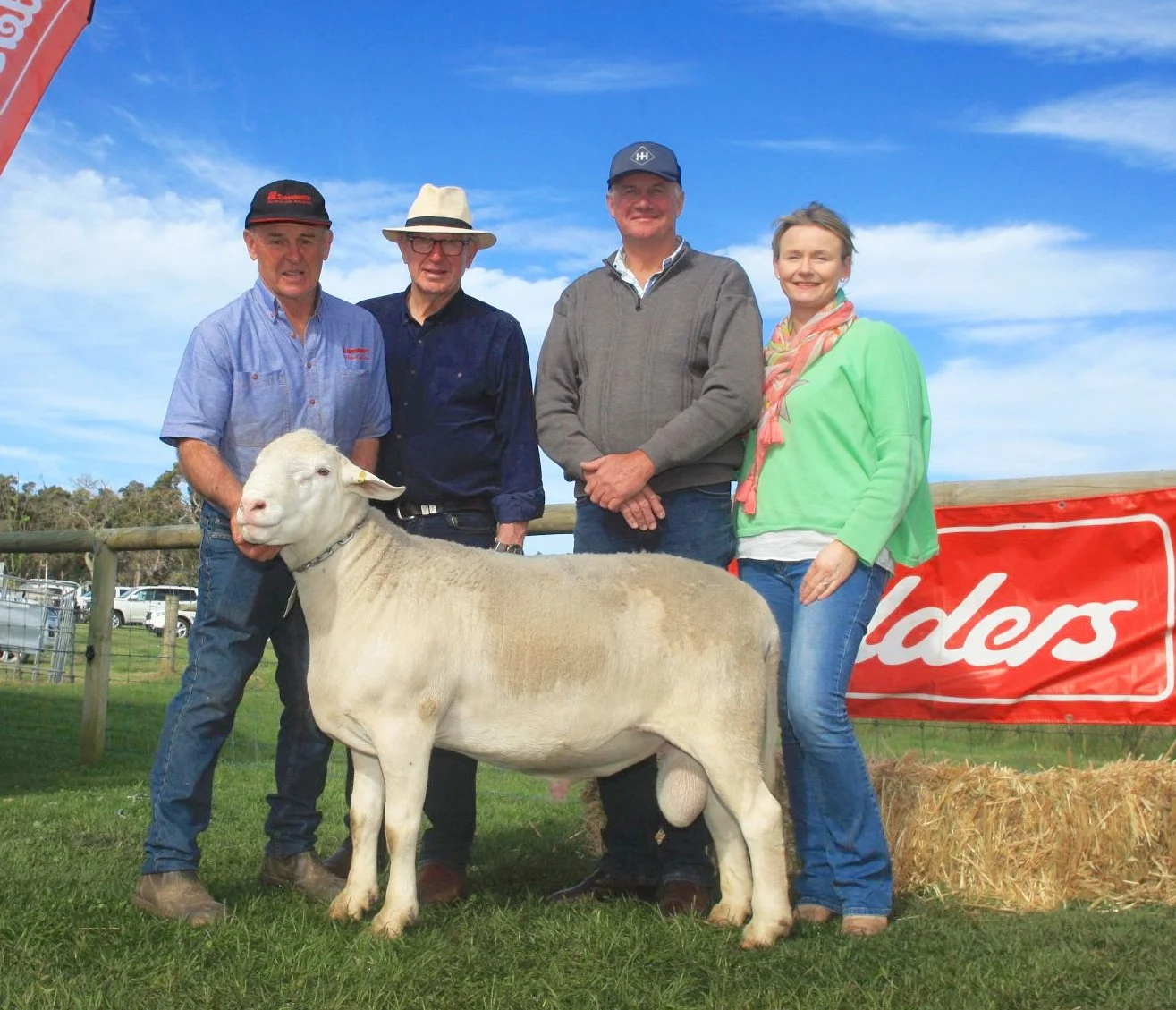 sheepmaster-parent-stud-homepage