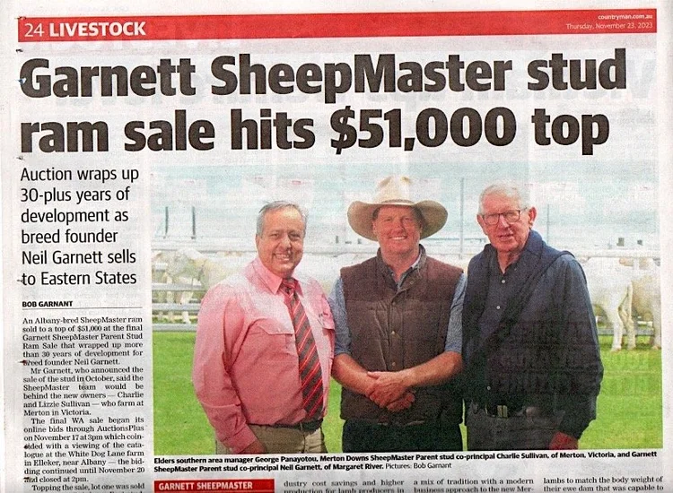 sheepmaster-parent-stud-homepage