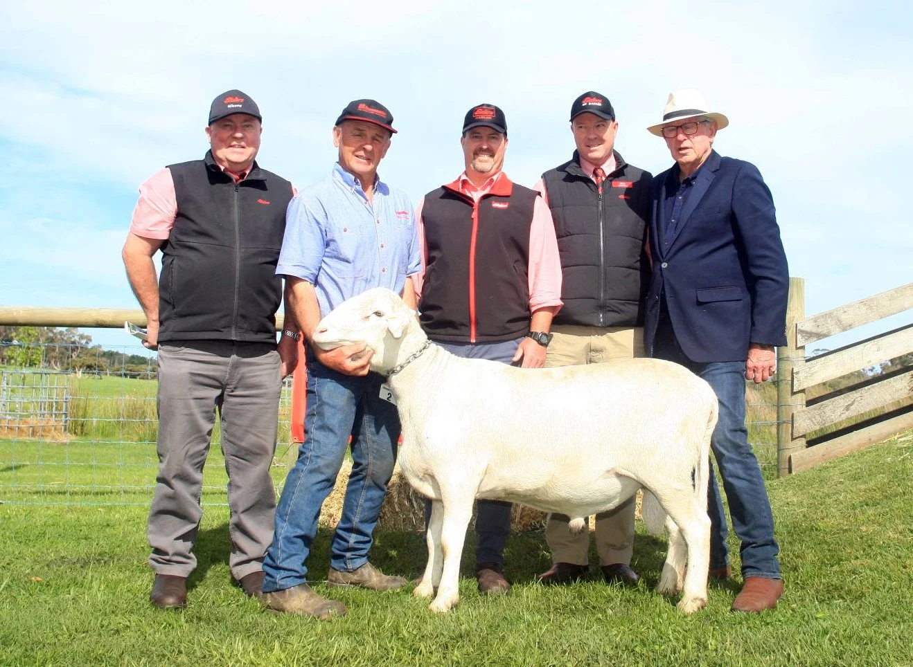 sheepmaster-parent-stud-homepage