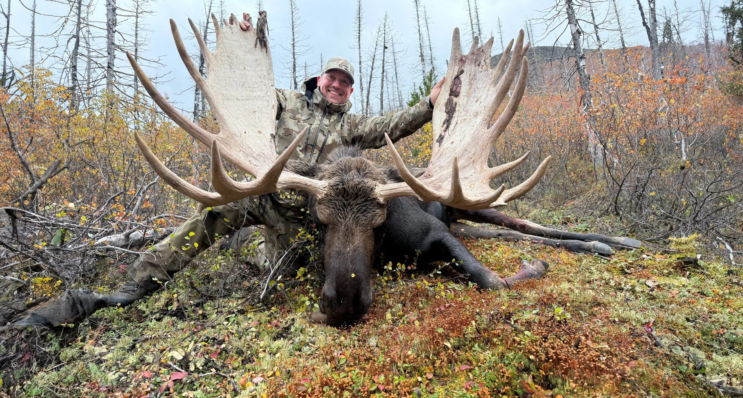 Canadian Moose Fair Chase Free Range Hunt — Scoop Lake Outfitters
