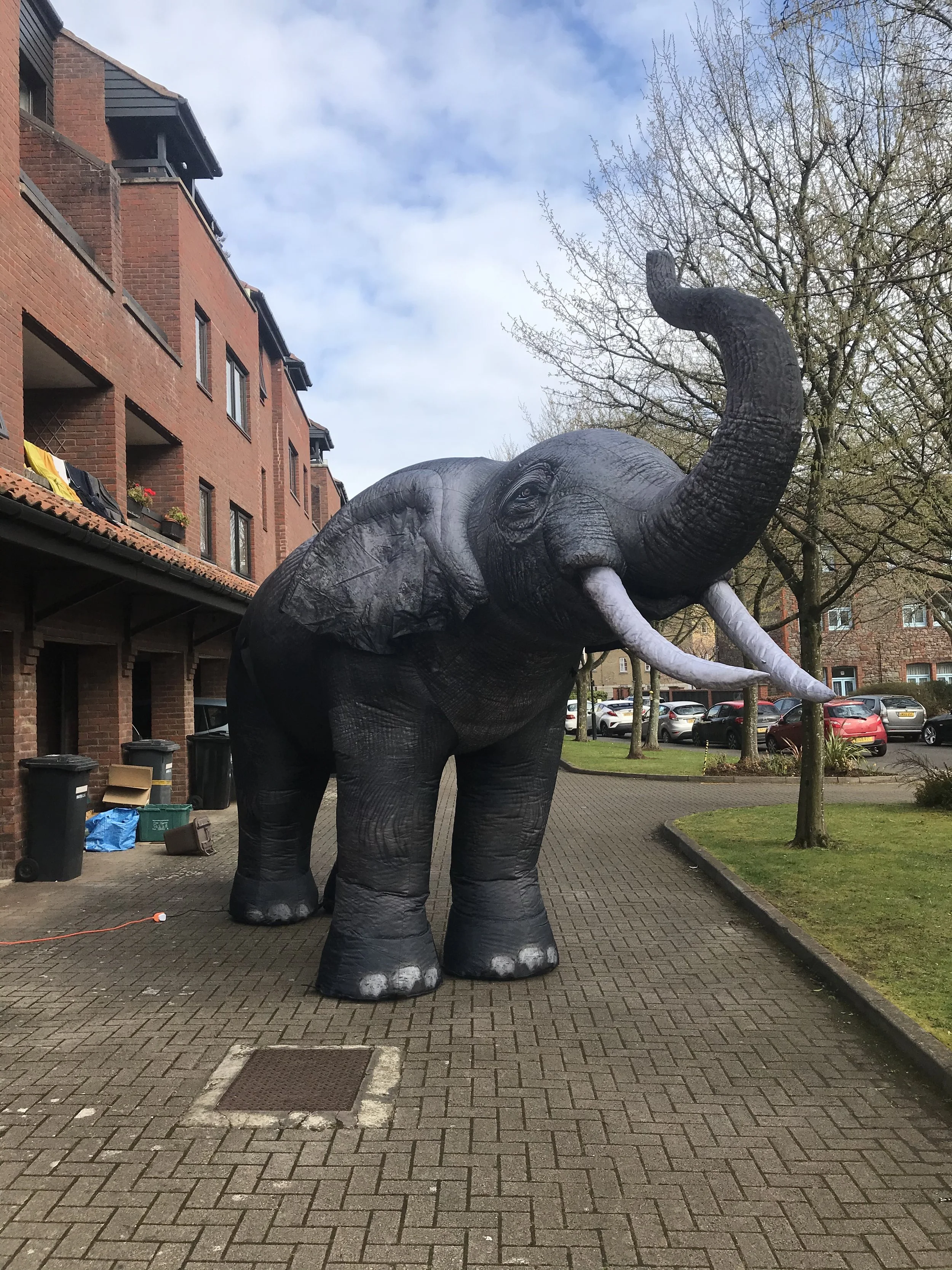 Large Elephant Inflatable in Bristol — Kubicek Balloons UK
