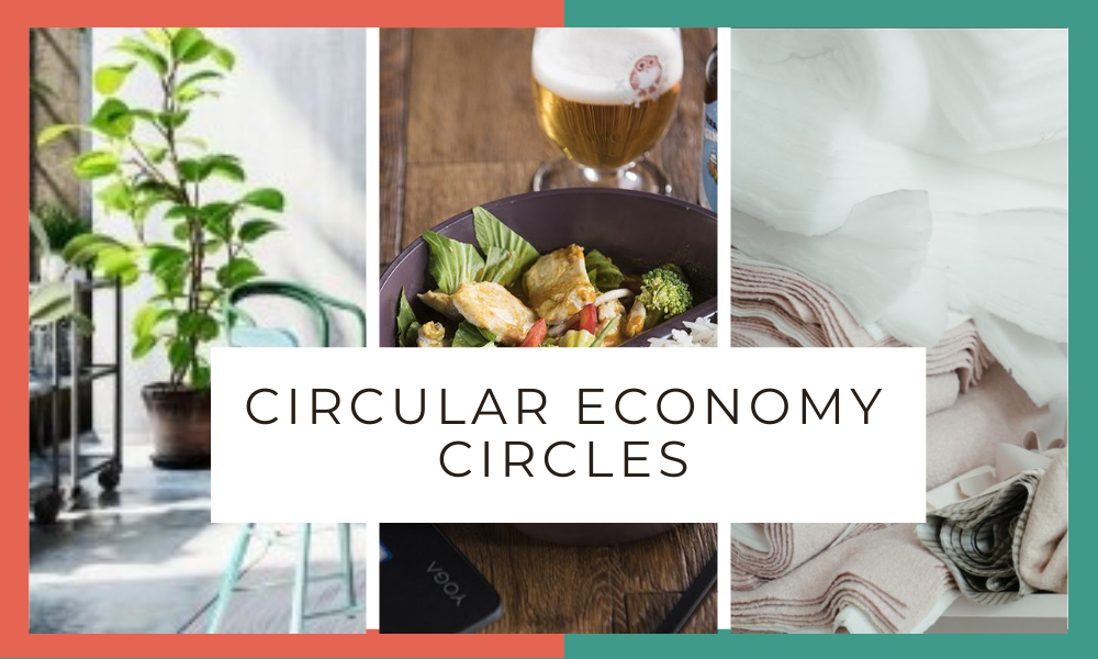 Circular Economy Circles — Circular Economy Transition