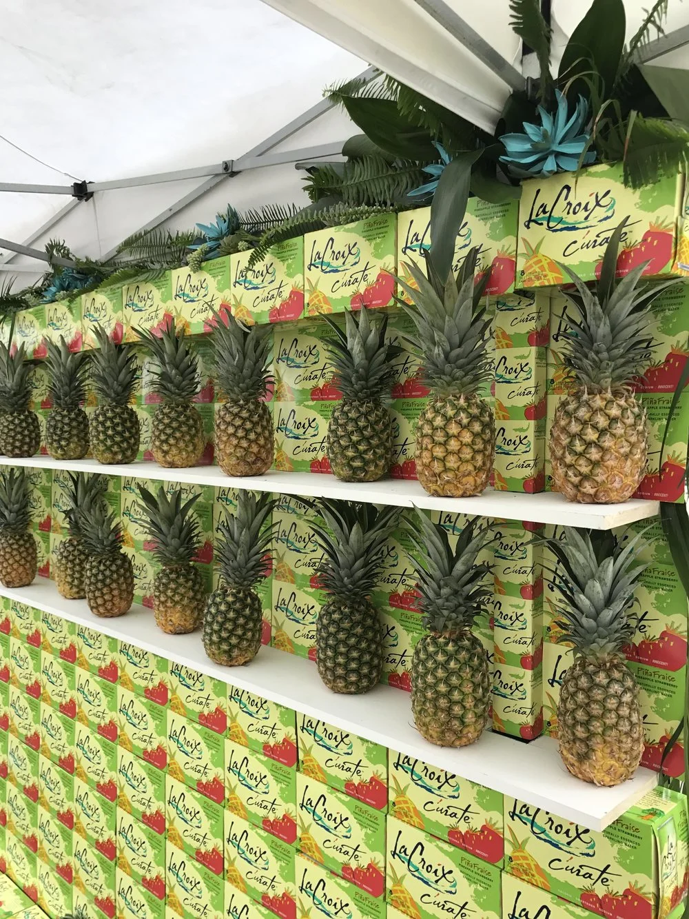 Branded Display Ideas For Your Next Product Launch