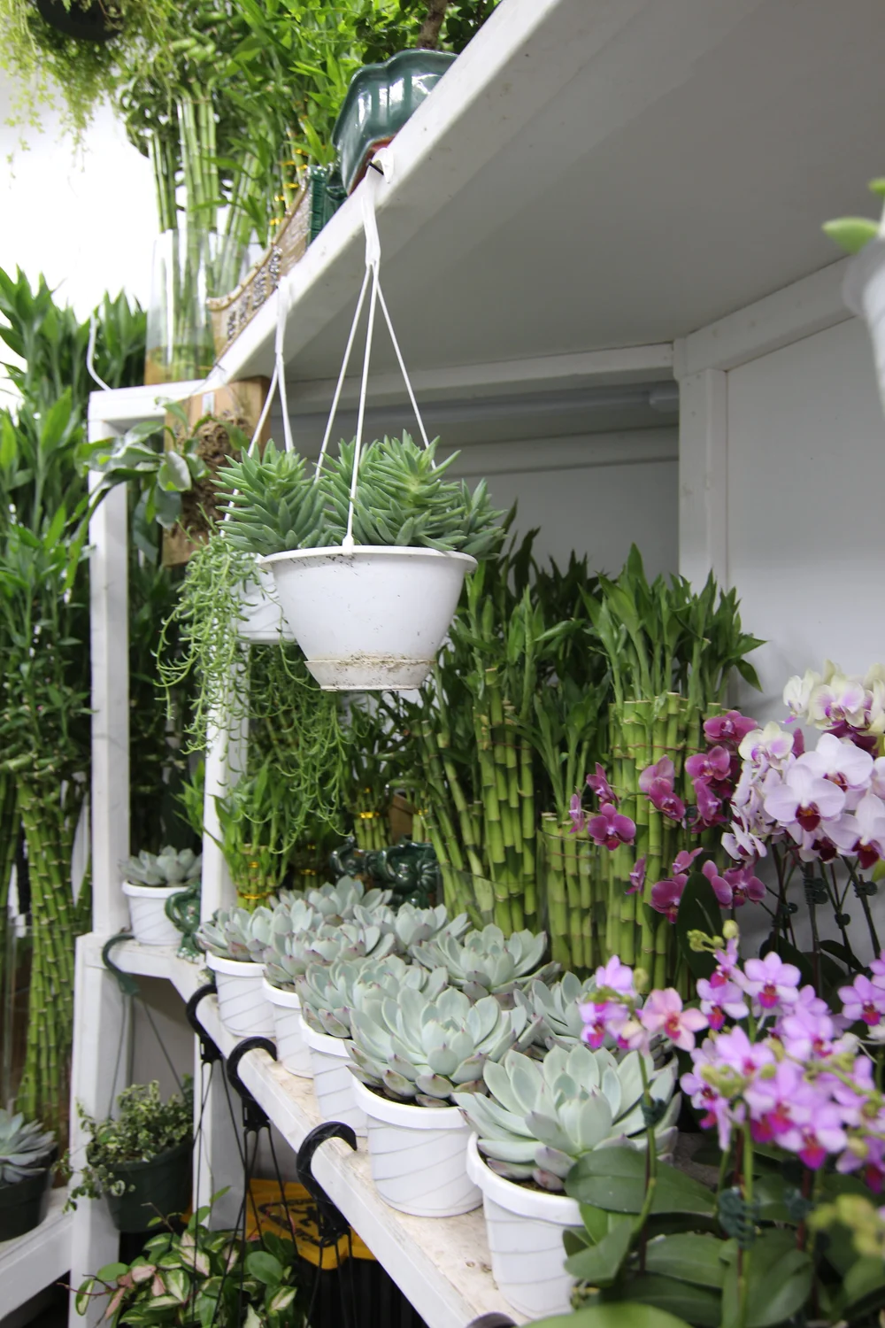 New York City Flower Market Guide