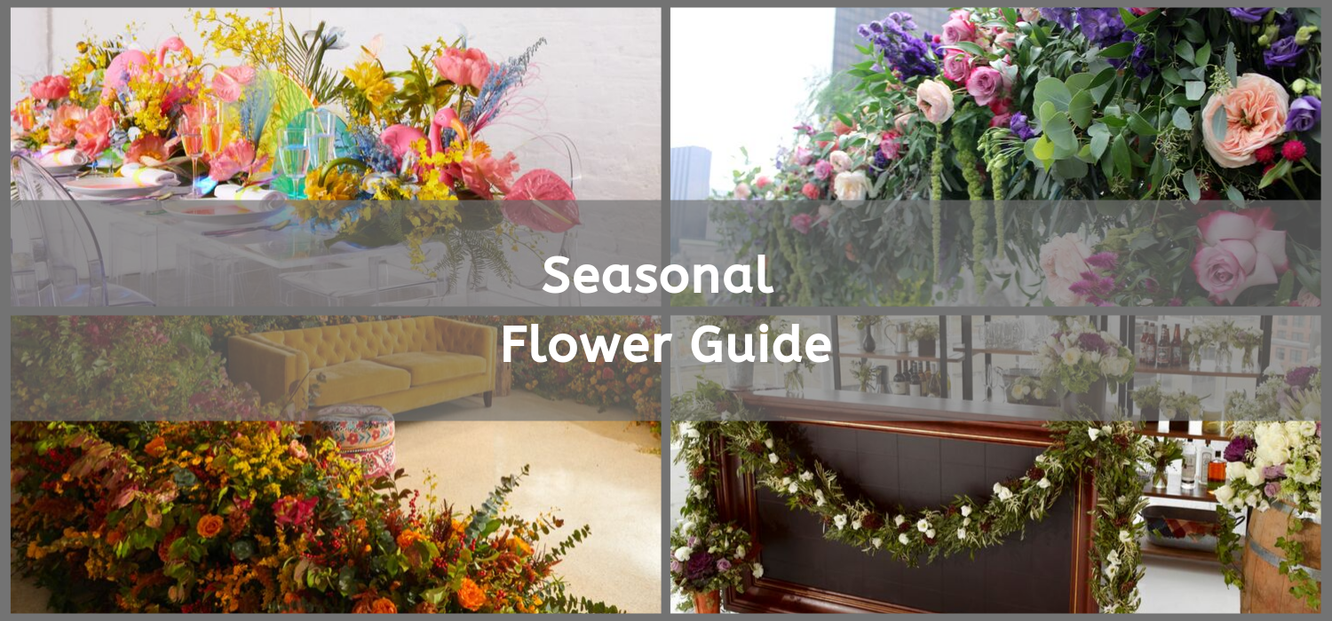 B Floral's Seasonal Flower Guide