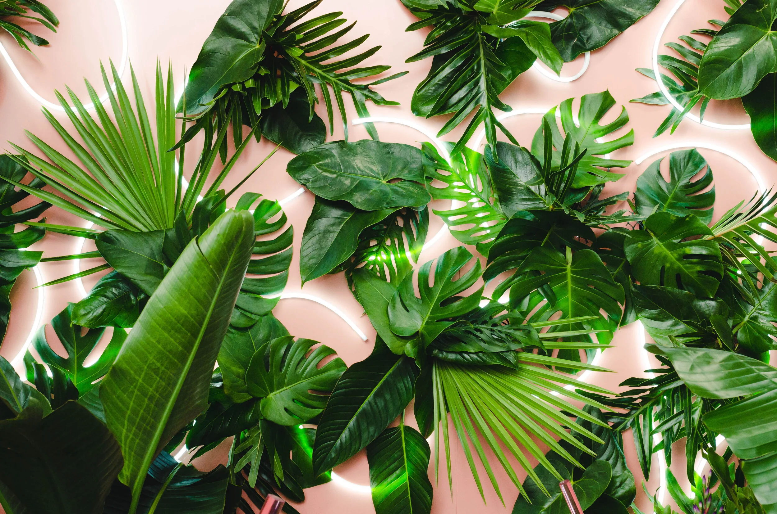 B Floral Event Design & Production