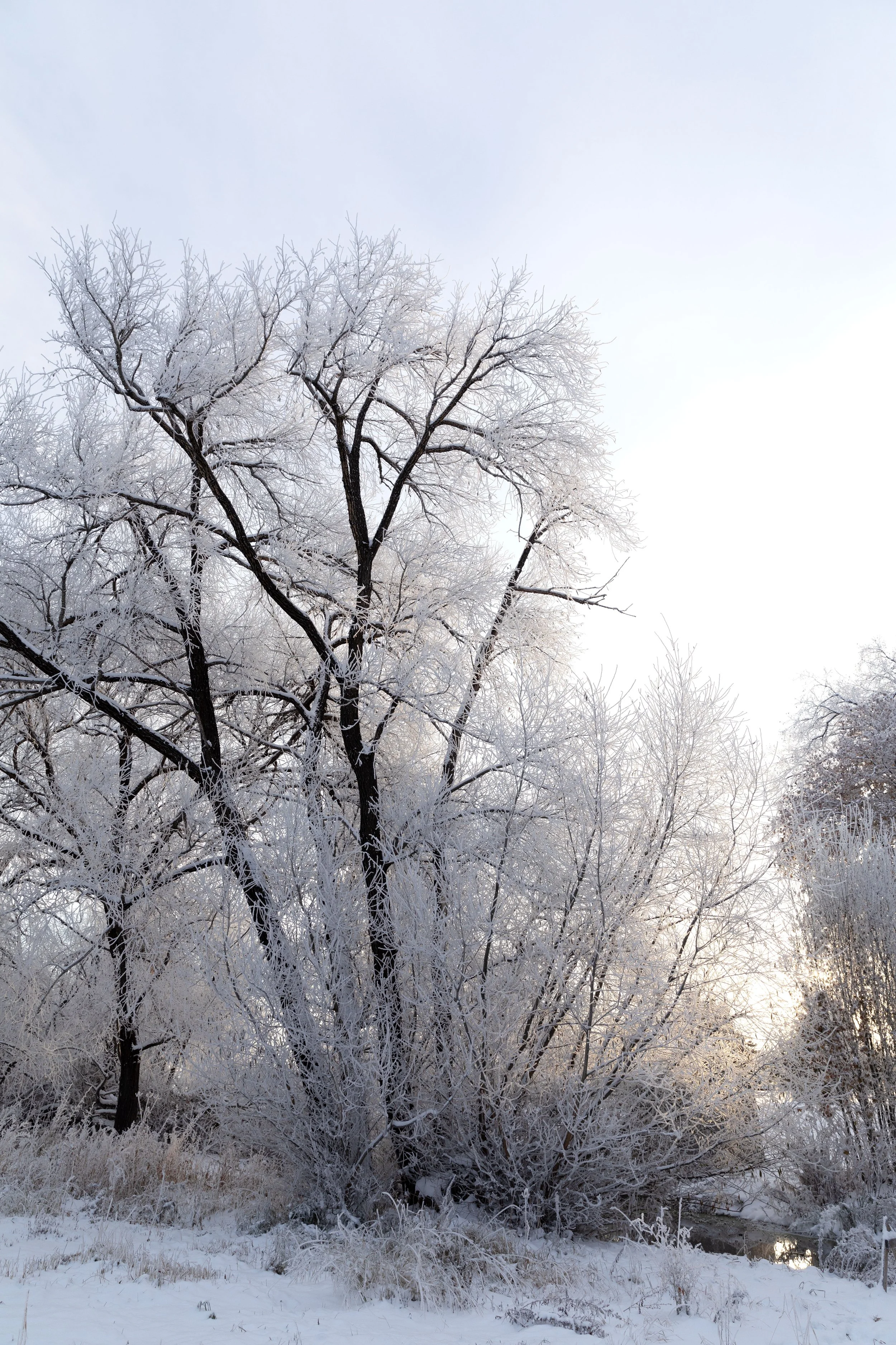 Wintering :: How do You Get Through the Season? — The Grit and Polish