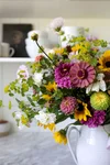 Grow these cut flowers to have garden bouquets all summer long — The ...