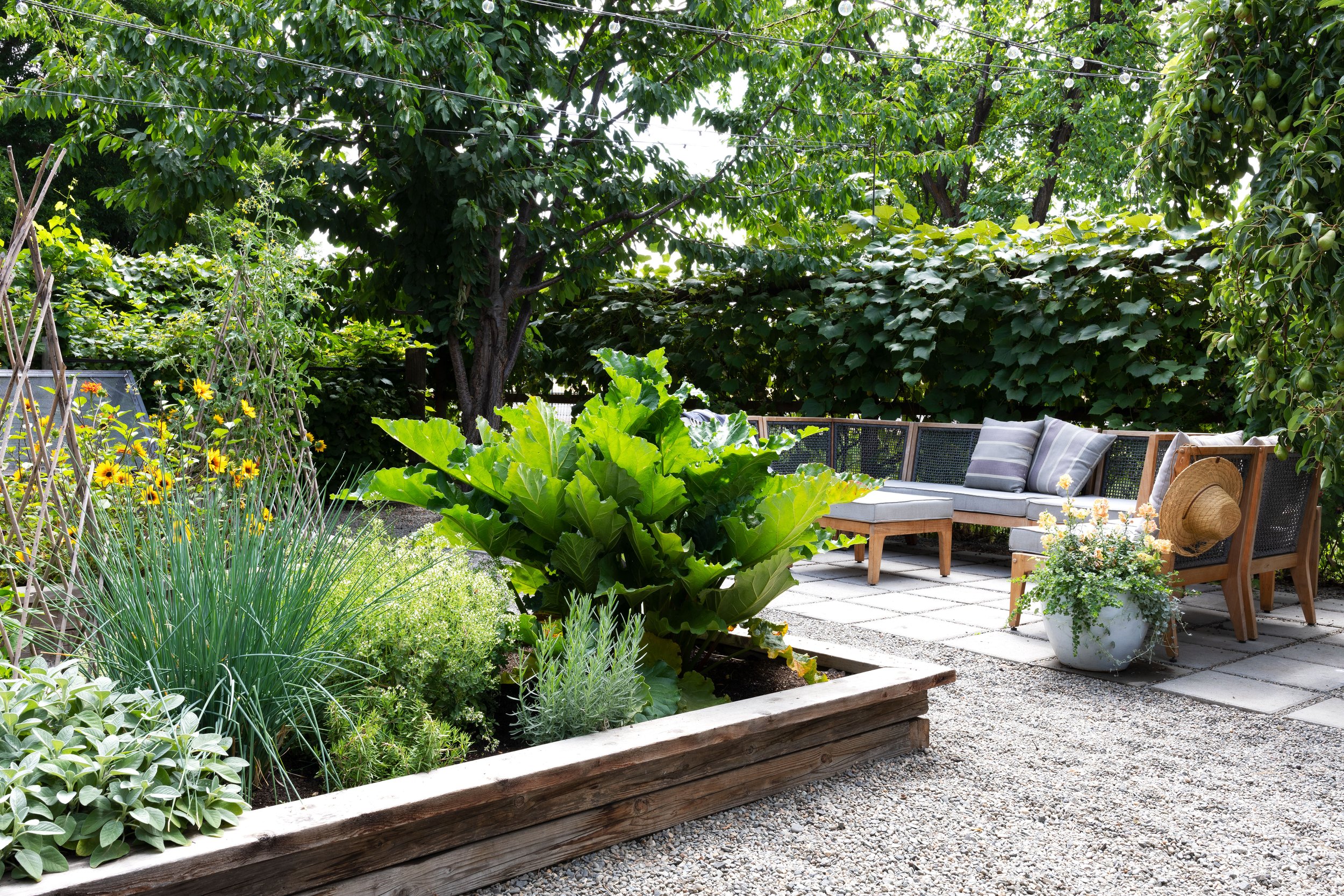 How to Have a Successful Garden with No Experience — The Grit and Polish