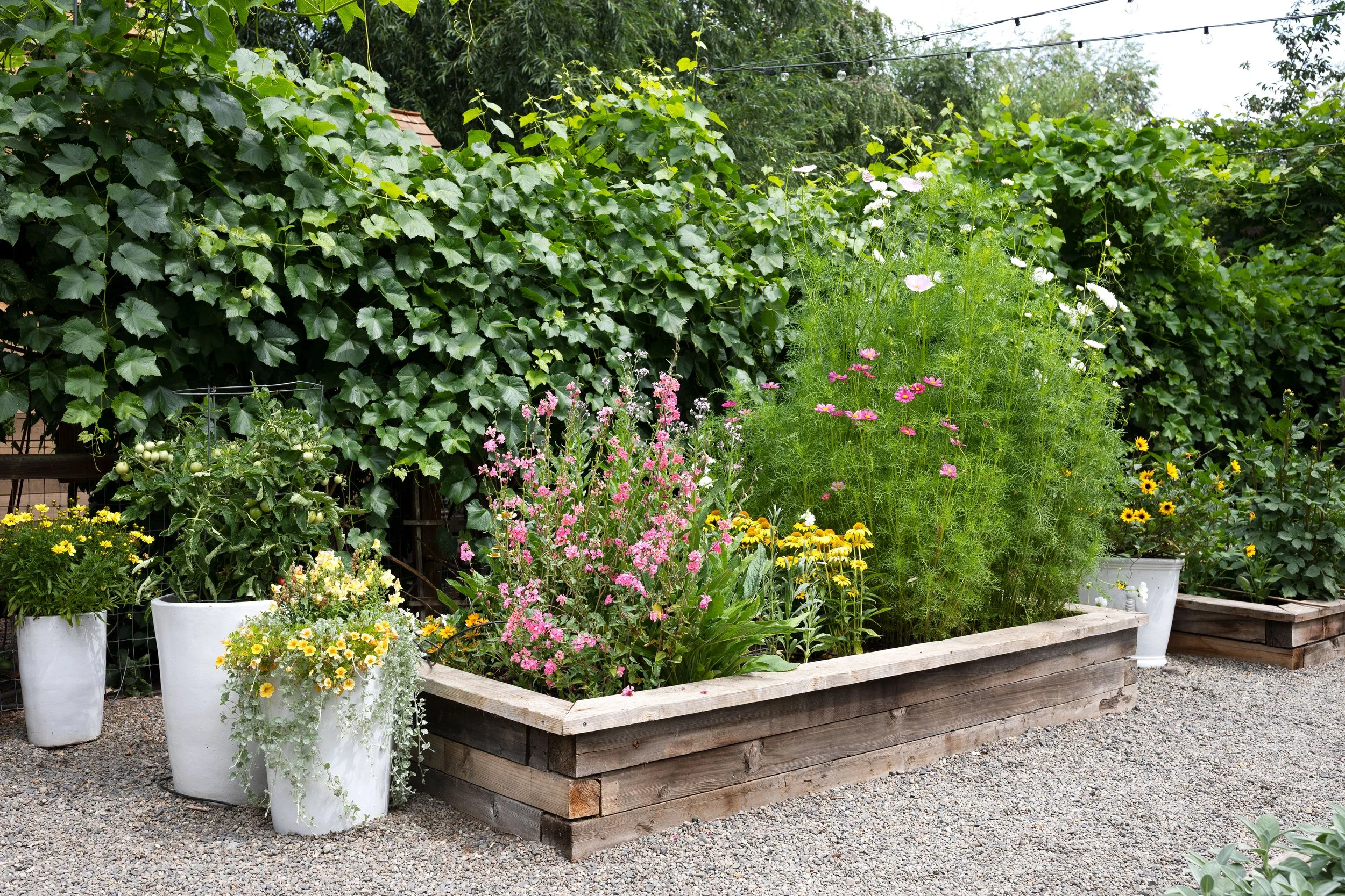 How to Have a Successful Garden with No Experience — The Grit and Polish