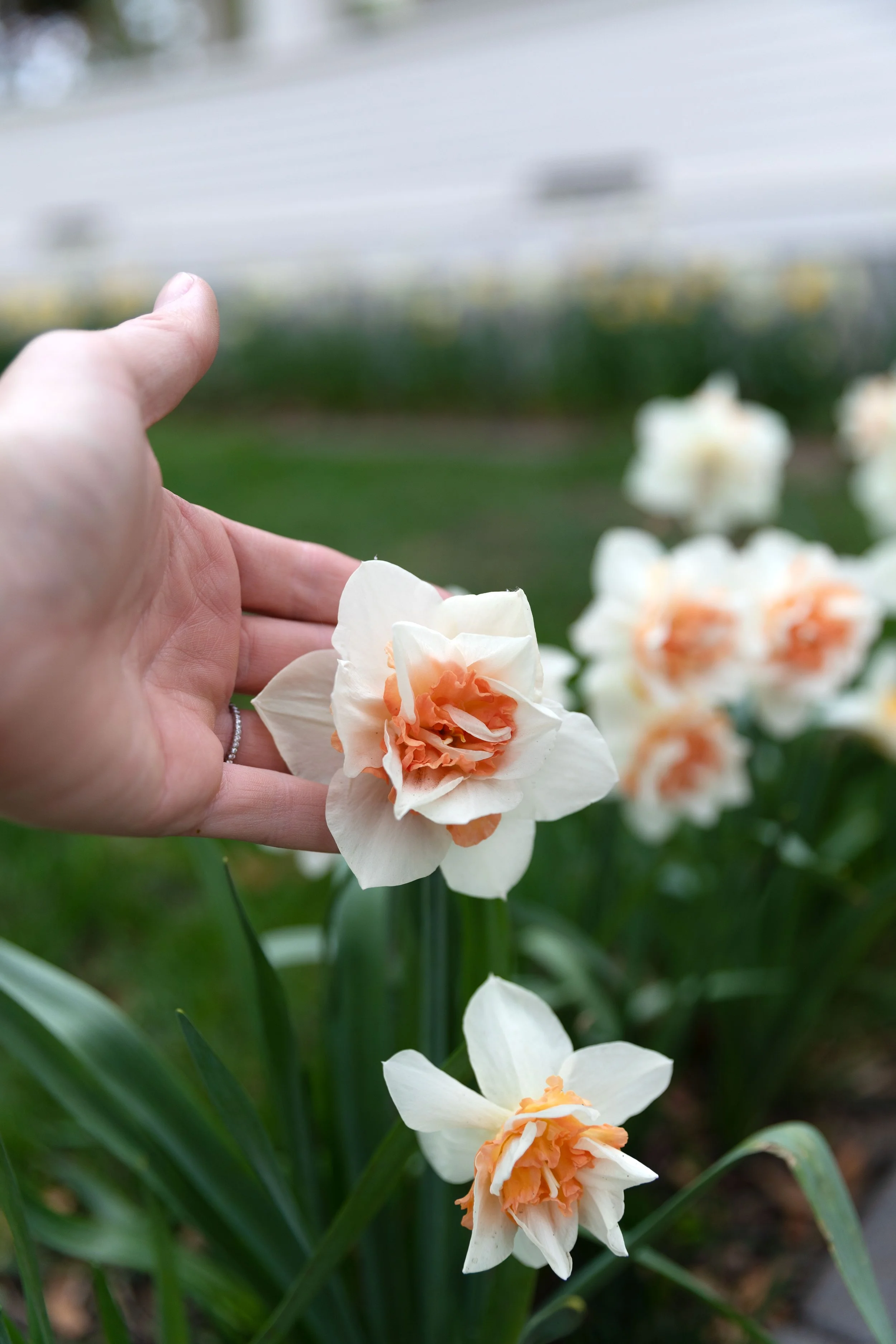 Happy Friday 4/4/25 — The Grit and Polish