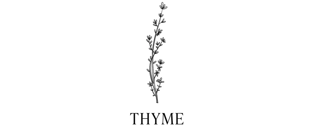 Our 5 Favorite Herbs to Grow at Home — The Grit and Polish