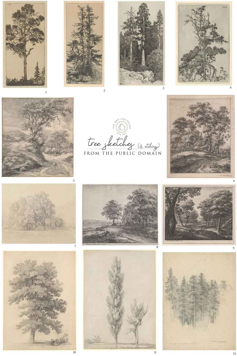 Tree Sketches and Etchings I'm Loving Lately (FREE art downloads ...