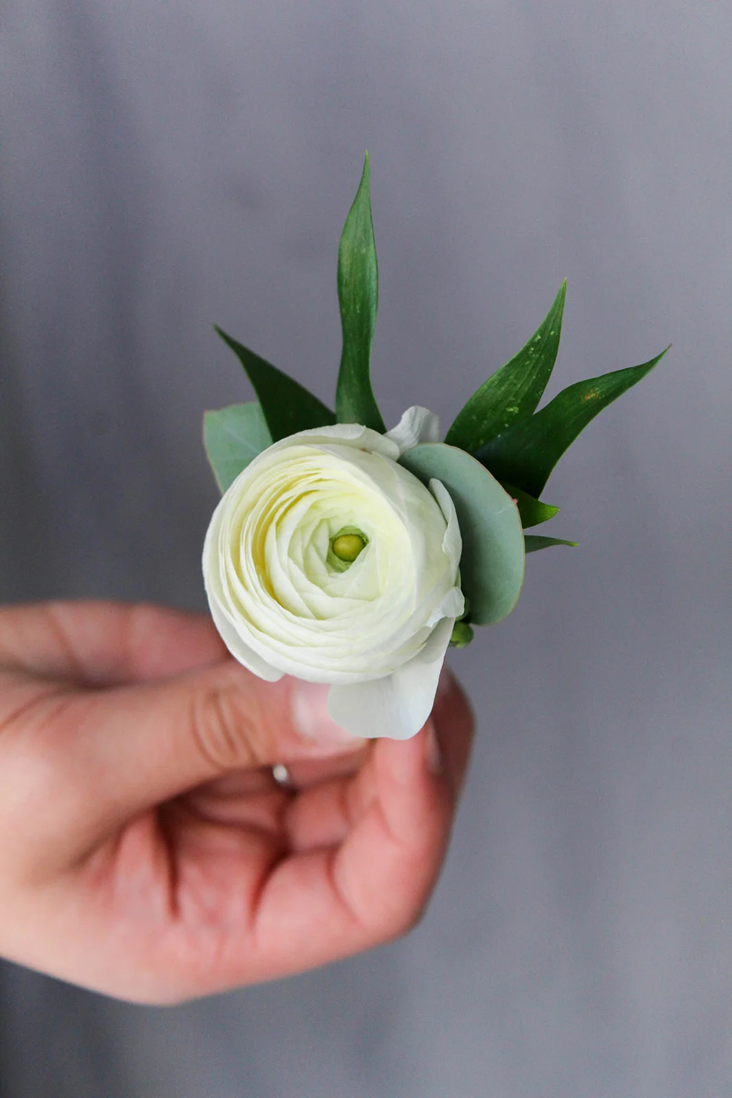 Ivory Ranunculus Boutonniere