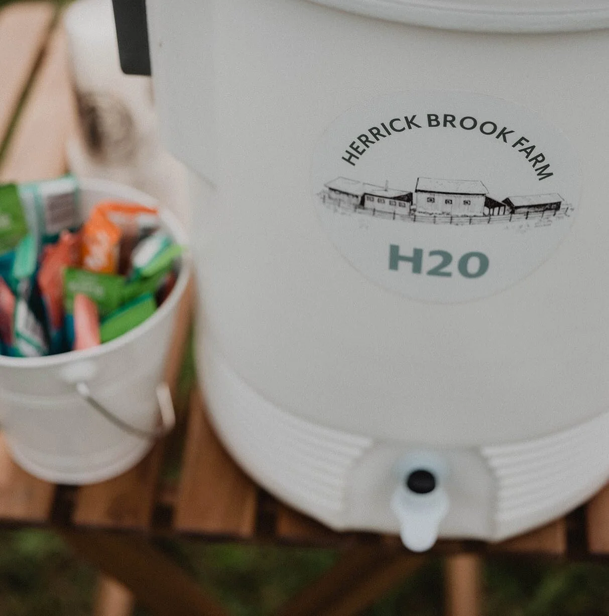 Tara Pollio | Vermont Event and Wedding Planning