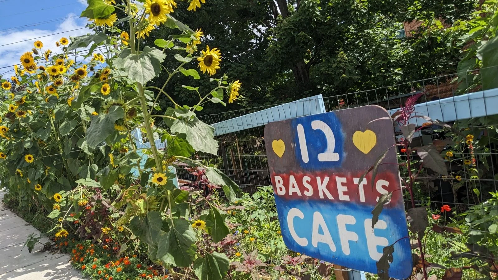 Asheville Poverty Initiative