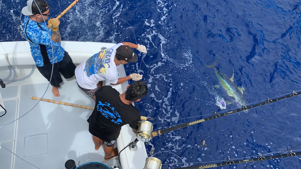 Hawaii Deep Sea Sport Fishing Charters in Honolulu, Oahu