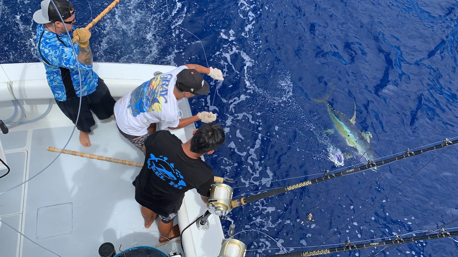Hawaii Deep Sea Sport Fishing Charters in Honolulu, Oahu