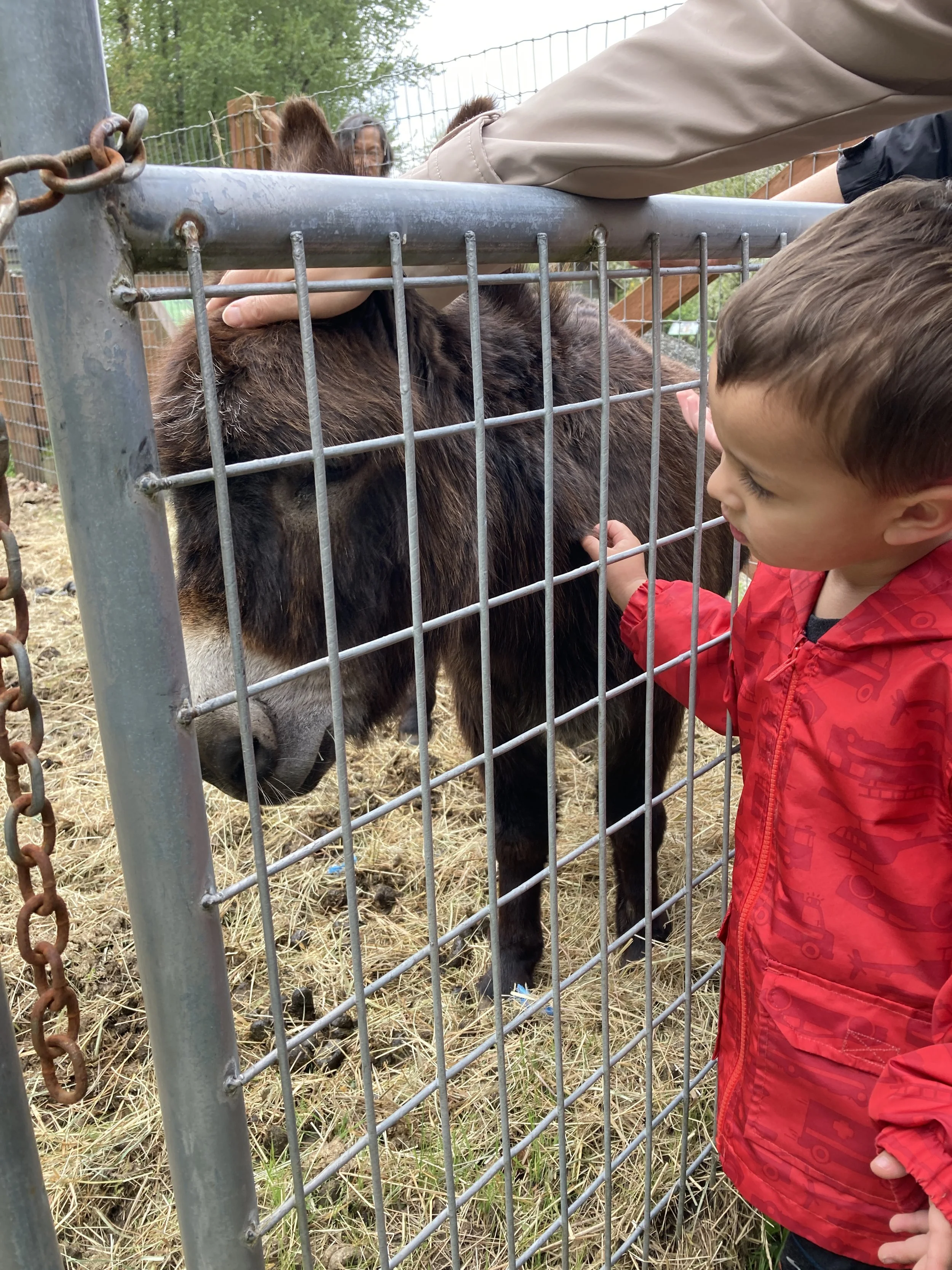 Barnyard Dance! — White River Valley Museum