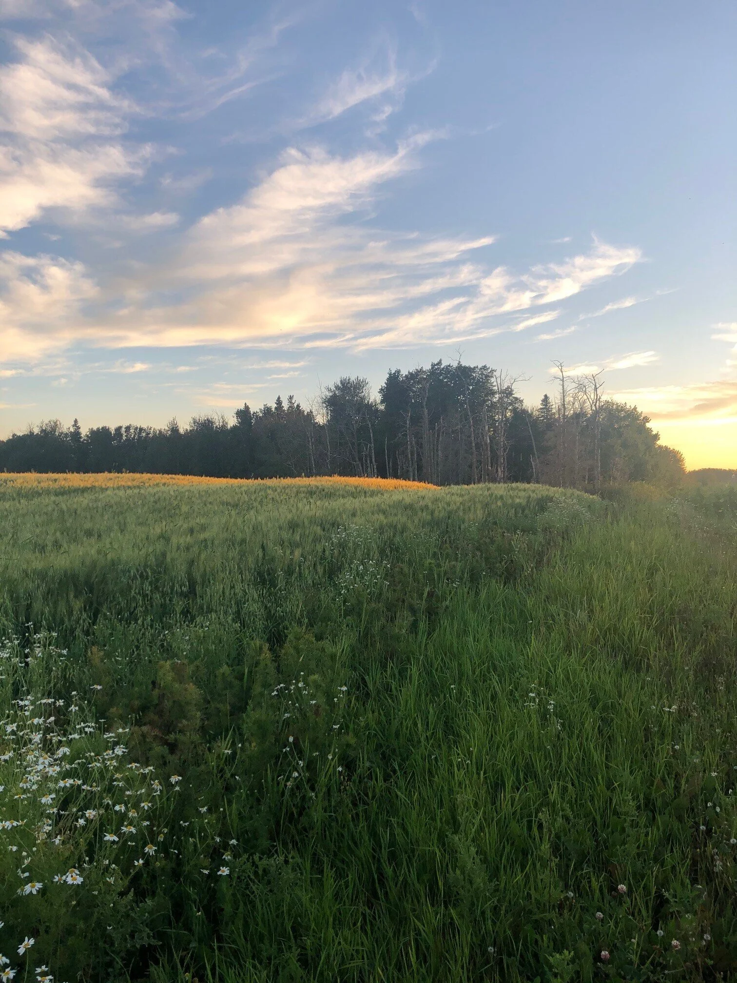 PRIDE AND THE PRODIGAL — Sue Fulmore