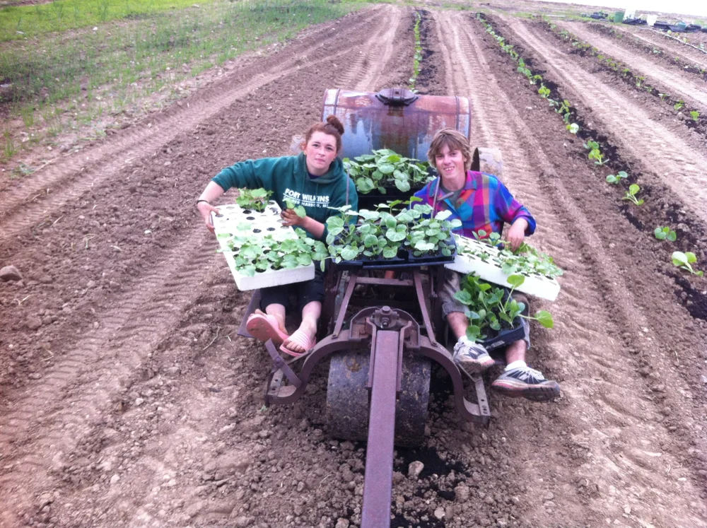 Work Opportunities — Old Plank Farm