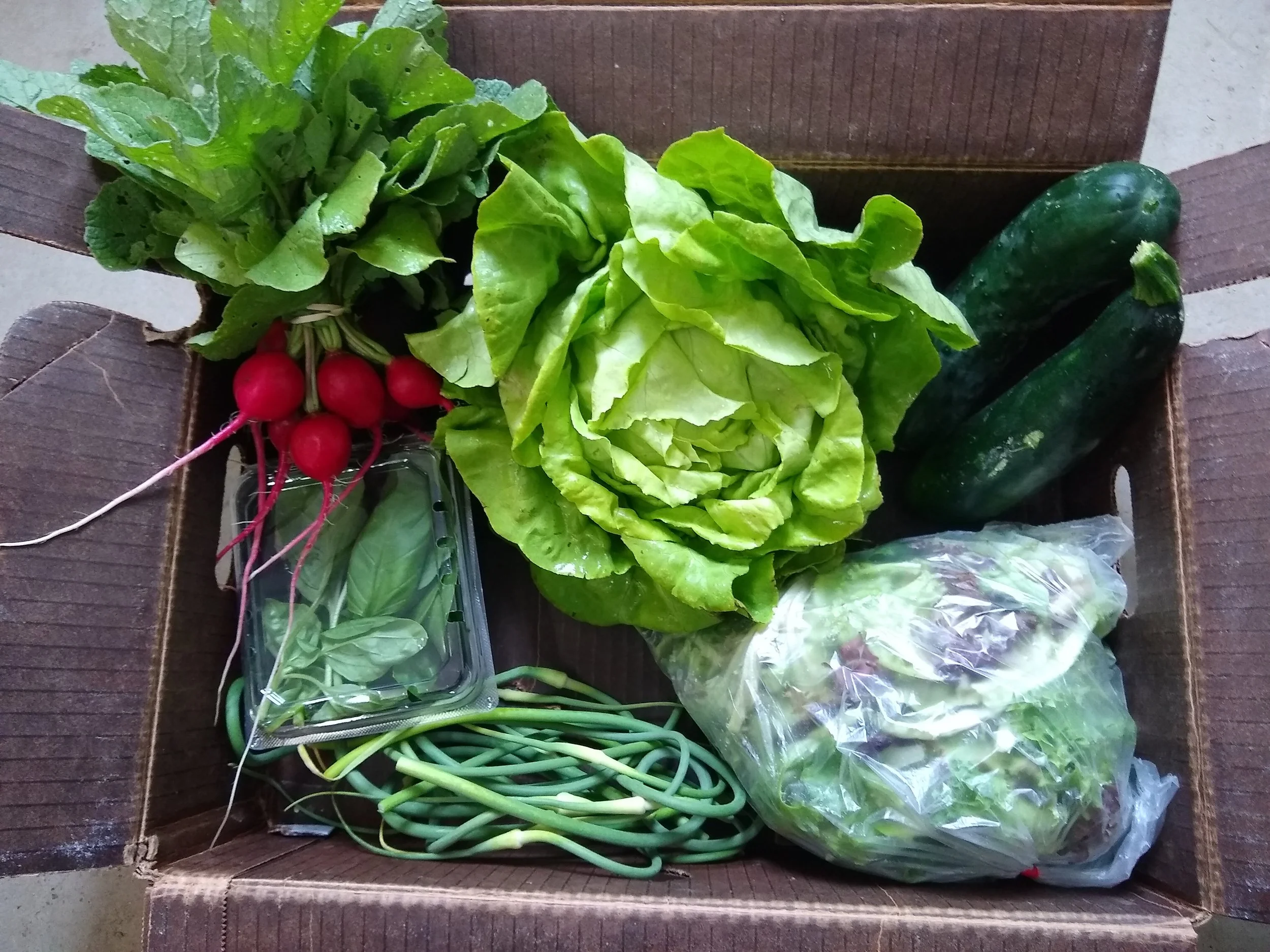 Join Now — Old Plank Farm