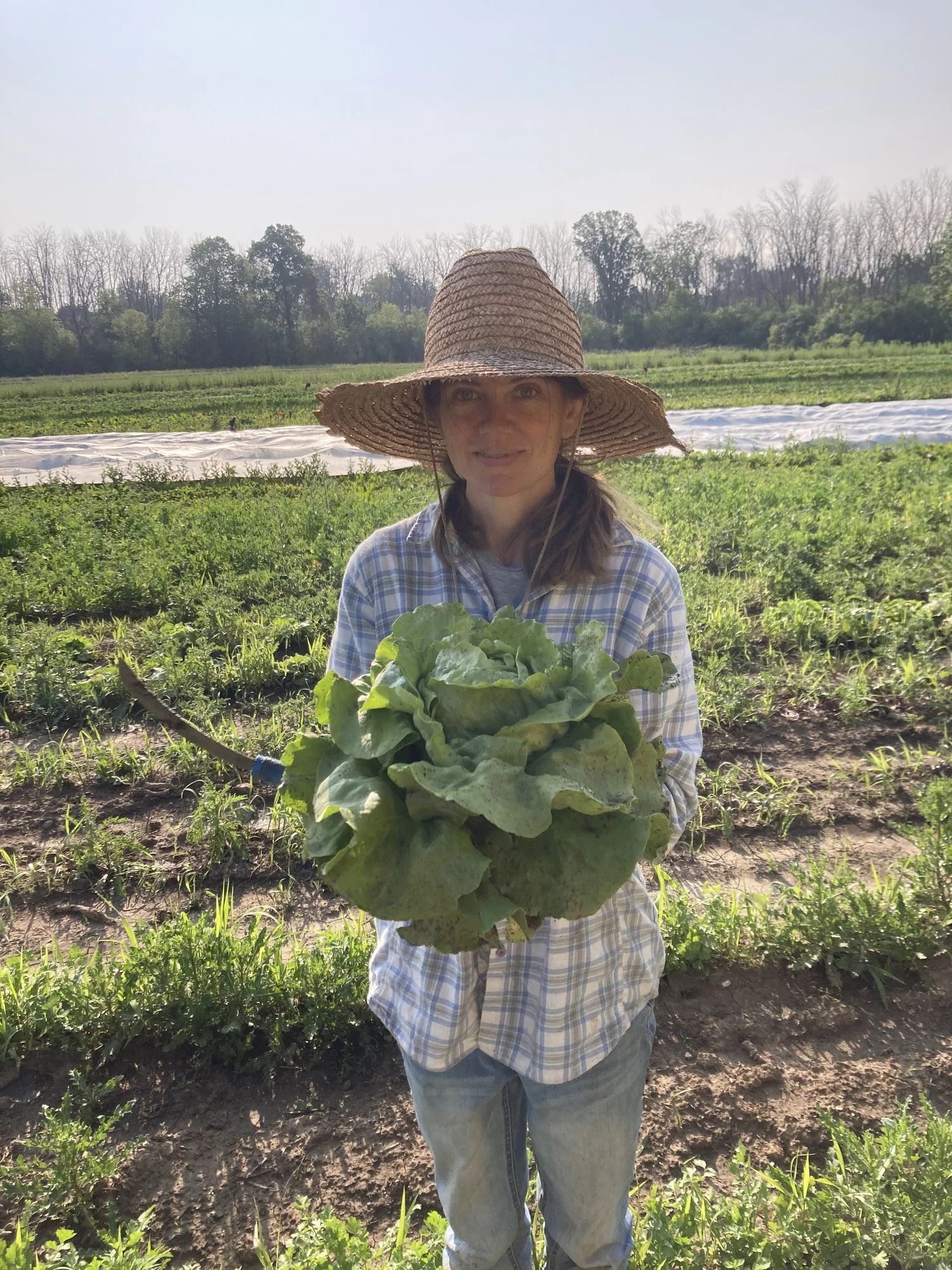 About OPF — Old Plank Farm
