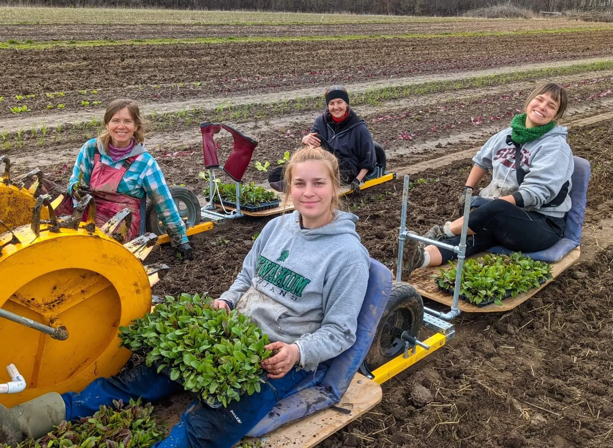 Photos — Old Plank Farm
