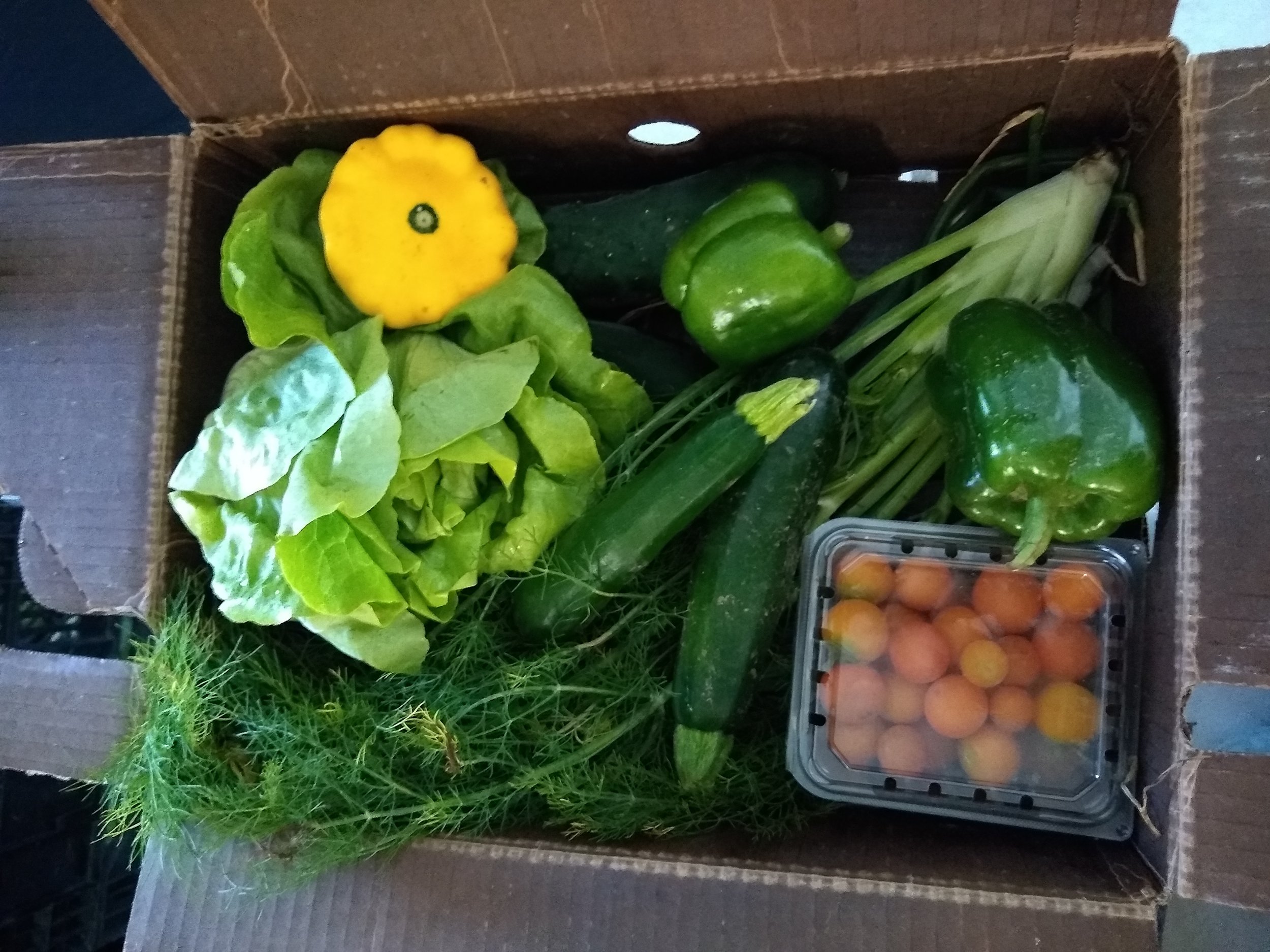 What We Offer — Old Plank Farm
