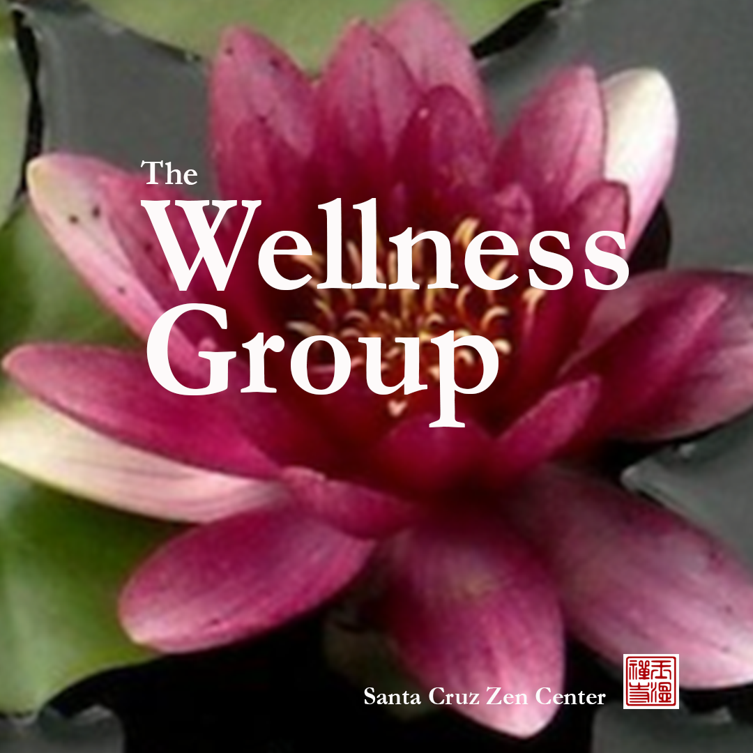 Wellness Group - Monthly — Santa Cruz Zen Center